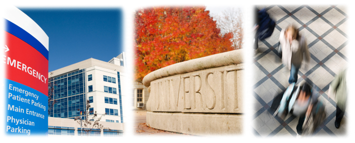 Sapling Clock Systems Which To Pick Sapling Clocks